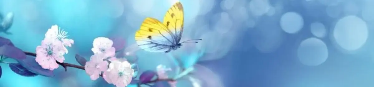 M6 Boutique – Téléachat - TV Shopping